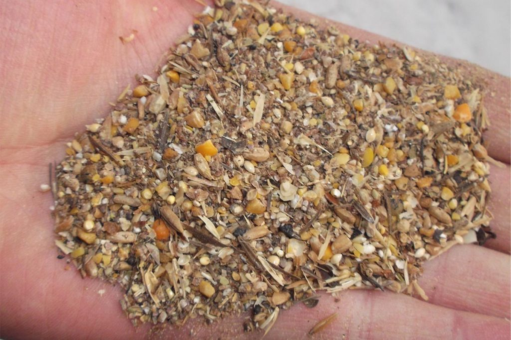 Poultry Feed Formulation The Basics You Need To Know Poultry Manual Poultry Feed Formulation The Basics You Need To Know Poultry Manual